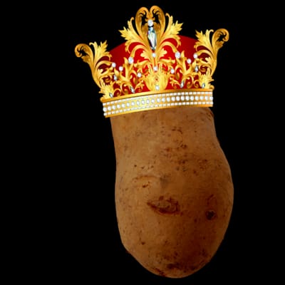 Do You Have A Potato Brain? - Test