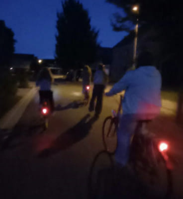 Whos your Stranger Things boyfriend? - Quiz | Quotev