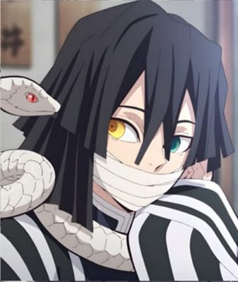 Which hashira will accept you as his tsuguko? - Quiz | Quotev
