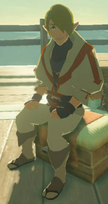 Guess the Botw NPC's - Test | Quotev