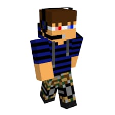Can you name the DSMP characters by their Minecraft skin? - Test | Quotev