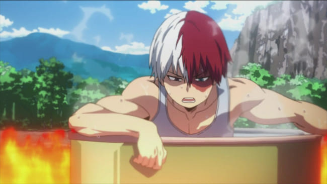 Show What You Know About Todoroki - Test | Quotev
