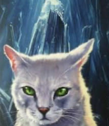 How well do you know Warrior Cats!(questions get harder as you progress ...