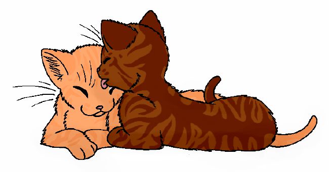 Can you relate [Warriors Cats]? - Quiz | Quotev