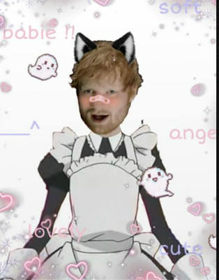 project sekai kin quiz because why tf not - Quiz | Quotev