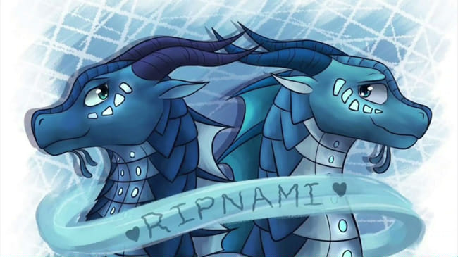 WOF ships - Survey | Quotev