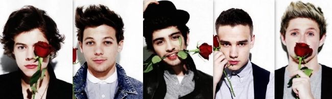 How well do you know One Direction ? - Survey | Quotev