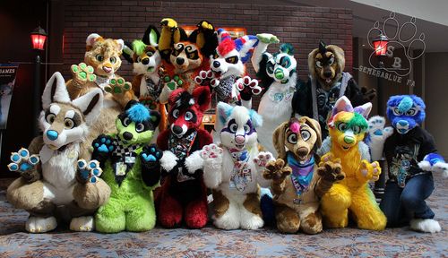 What Should Your Fursona Be? - Quiz