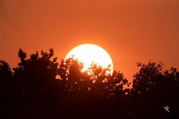 Does Jax have a crush on you? - Quiz | Quotev