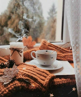 Comfort quiz (AESTHETIC) - Quiz | Quotev