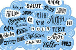 What Language Should You Learn? - Quiz | Quotev