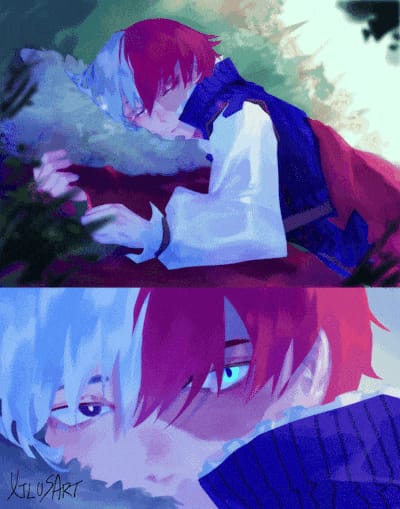 What does Shoto Todoroki view you as? - Quiz | Quotev