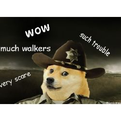 Would you survive if doge took over the world? - Test | Quotev