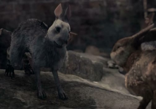 Which Watership Down character are you? - Quiz | Quotev