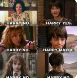 The Harry Potter ultimate meme quiz - Quiz | Quotev