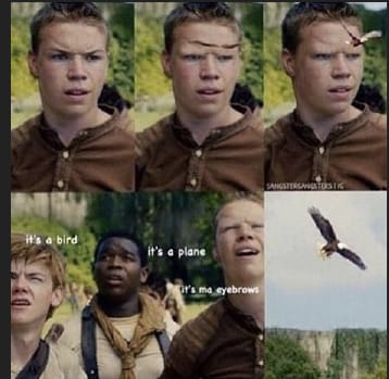 Let’s get to know you so you can see your maze runner boyfriend (LONG ...