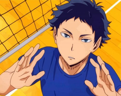 Which one of the pretty setters are you? - Quiz