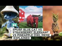 Are you Blue Smurf Cat, Strawberry Elephant, or Pineapple Owl? - Quiz ...