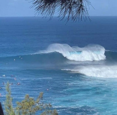 Nimue Lestrange | Quotev