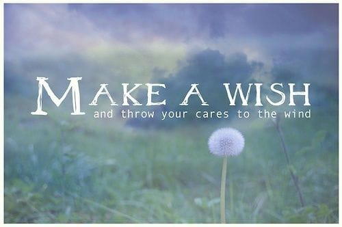 Which Path Will You Take? - Quiz | Quotev