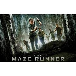 How Well Do You Know The Maze Runner? - Test | Quotev