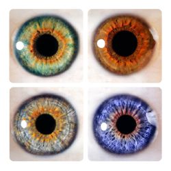 What Soul Color Should Your Eyes Be? - Quiz | Quotev