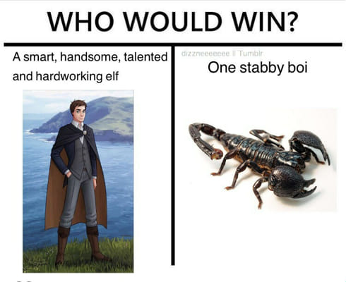 Meme war Fitz vs. Keefe!! - Quiz | Quotev