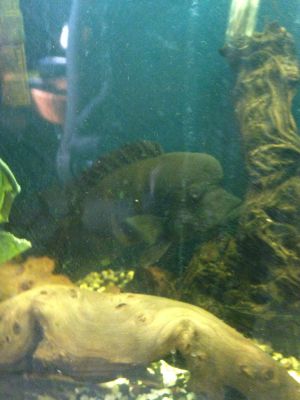 Create Your Perfect Boyfriend - Quiz | Quotev