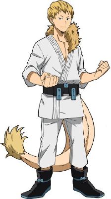 Guess the BNHA Character! - Test | Quotev