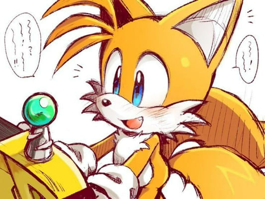 What does Tails the Fox think of you? - Quiz | Quotev