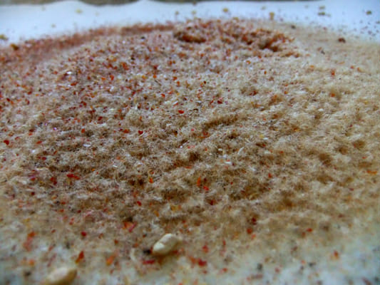 Itching powder survey - Survey | Quotev