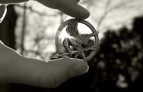 Which Hunger Games district are you from? - Quiz | Quotev