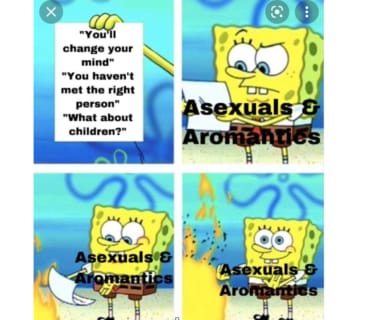 Aro and ace memes (relatable) - Quiz | Quotev