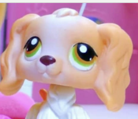 Which LPS are you? - Quiz | Quotev