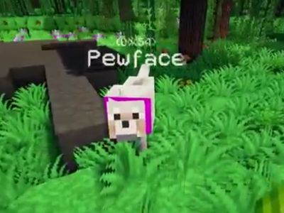 Bashurverse And Pewface