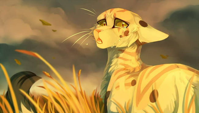 Warrior Cats RP Pt 2 (WindClan) - Quiz | Quotev