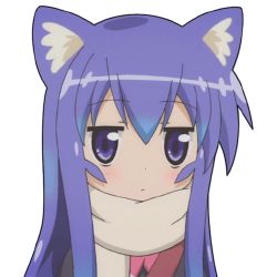 Do You Know Your Anime? - Test | Quotev