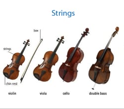 Which Orchestra Instrument are you? - Quiz | Quotev