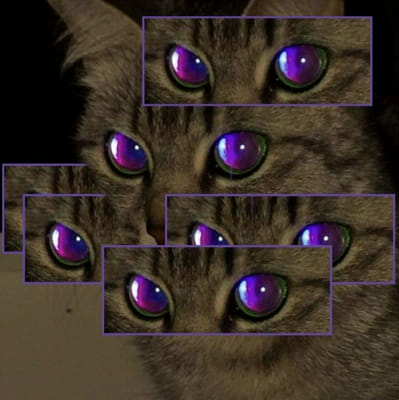 Let Me Assign Your OC Some Trauma - Quiz | Quotev