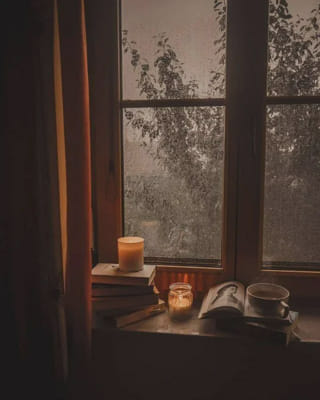 P𝐥a𝐧 𝐘o𝐮r P𝐞r𝐟e𝐜t R𝐚i𝐧y D𝐚y a𝐧d S𝐞e W𝐡i𝐜h C𝐚t A𝐝o𝐩t𝐬 𝐘o𝐮 /ᐠ - -マ - Quiz ...