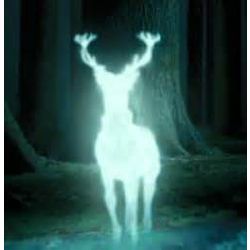 What Is Your Patronus - Quiz | Quotev