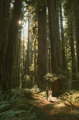 wedding ~design - Quiz | Quotev