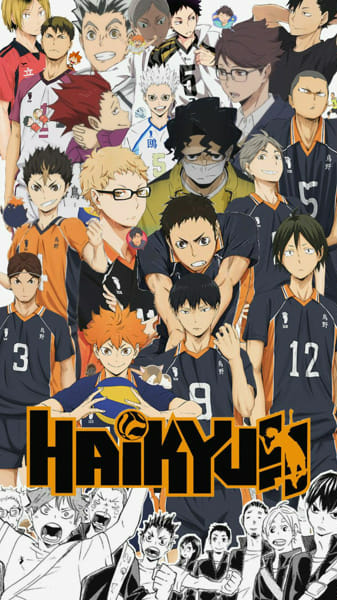 Haikyuu!! kin test - Quiz | Quotev