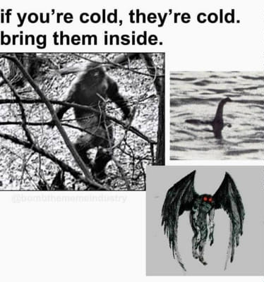 What Cryptid Are You - Quiz | Quotev