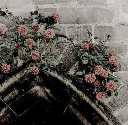 Which Disney Princess Are You? + Lesser Known Included - Quiz | Quotev