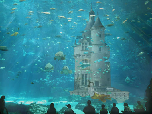 Create Your Mermaid House - Quiz | Quotev