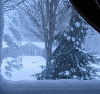 Are You More Like Augustine Or Winnie? - Cold Front - Quiz | Quotev