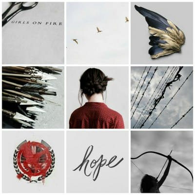 Create Your Hunger Games Character - Quiz