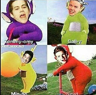 TMR/TBS Memes Try Not to Laugh - Quiz | Quotev