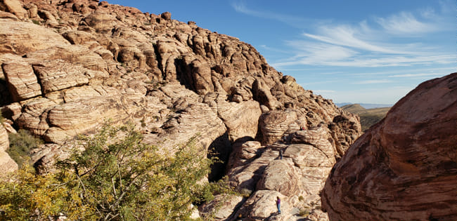 How to buttcheak - Quiz | Quotev